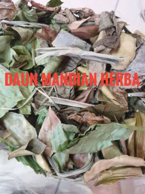 DAUN MANDIAN HERBA (BADAN WANGI DAN SEGAR) | Shopee Malaysia