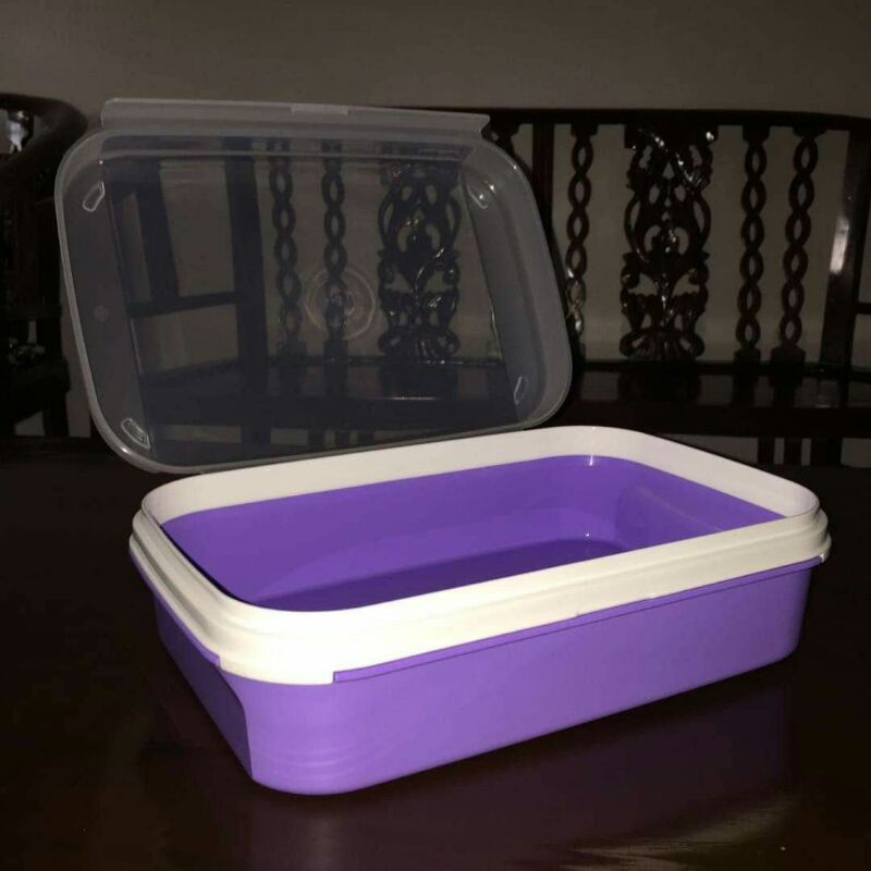 Tupperware bread keeper/bun keeper 2L(1pc) | Shopee Malaysia