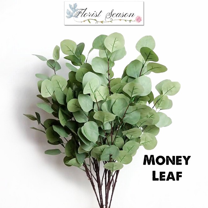 Artificial Money Leaf / Daun Silver Dollar / Apple Leaves Eucalyptus ...