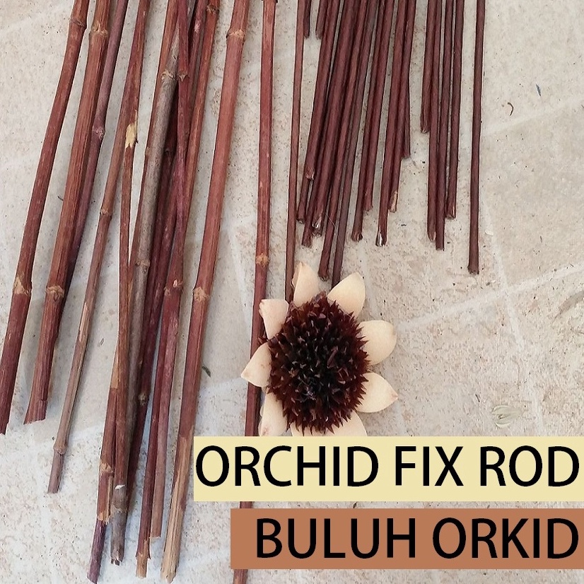 [M'sia] (40cm/60cm/70cm) Buluh Orkid | Orchid Stick | Plastic Coated ...