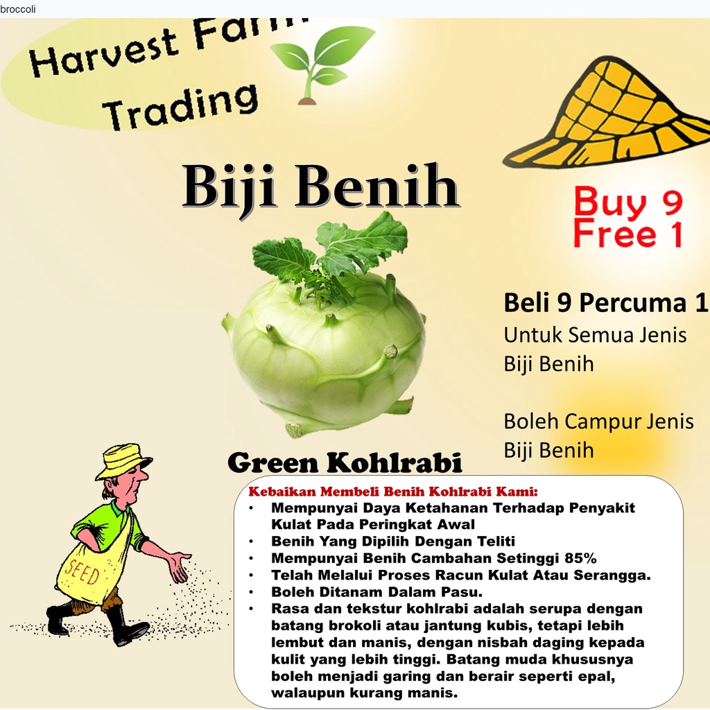 Biji Benih Lobak Hijau 20 Pcs +- German turnip seeds vegetables benih ...