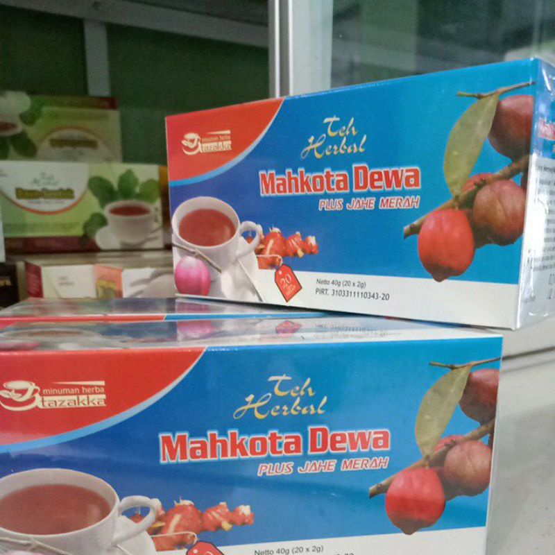 Mahkota dewa tea, herbal tea treats gout and relieves pain. Original ...