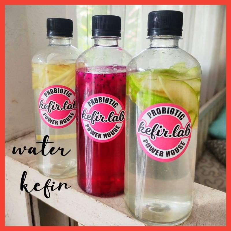 Probiotic,Water kefir Muslim Made | Shopee Malaysia