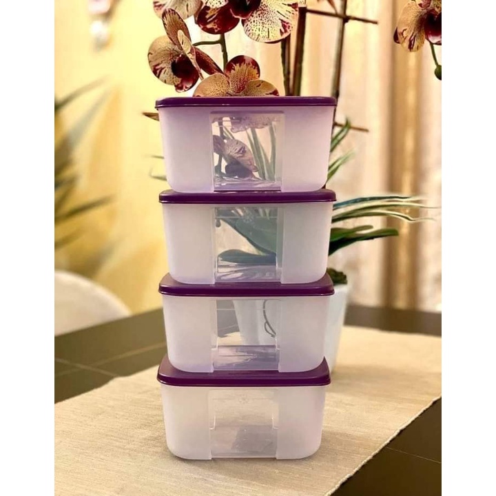 Freezermate Small II (4) 650ml Original Tupperware | Shopee Malaysia