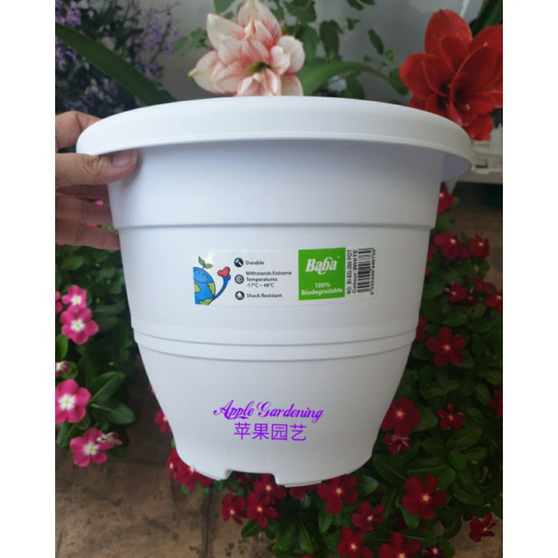 BABA EG-260 Biodegradable Flower Pot*BABA 白色花盆 | Shopee Malaysia