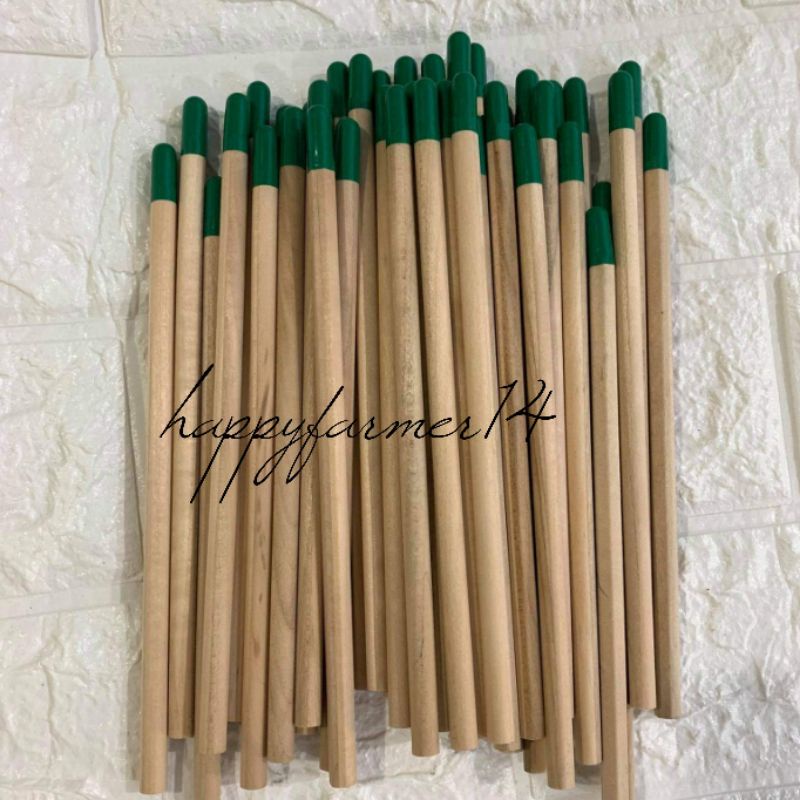 BULK Eco Plantable Pencil (PENCIL ONLY) | Shopee Malaysia