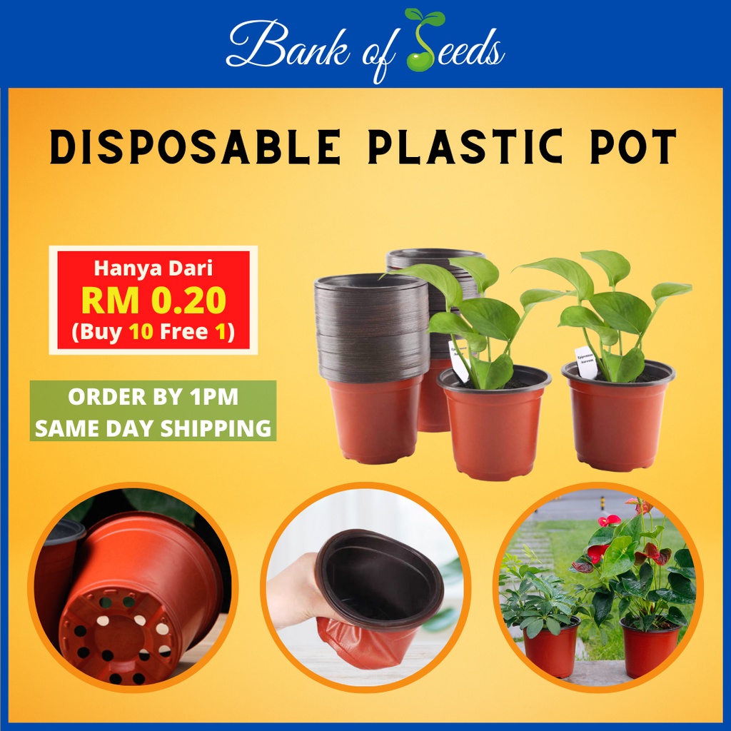 Buy 10 Free 1(Random Size) Disposable Plastic pots Pasu Bunga Plastik ...