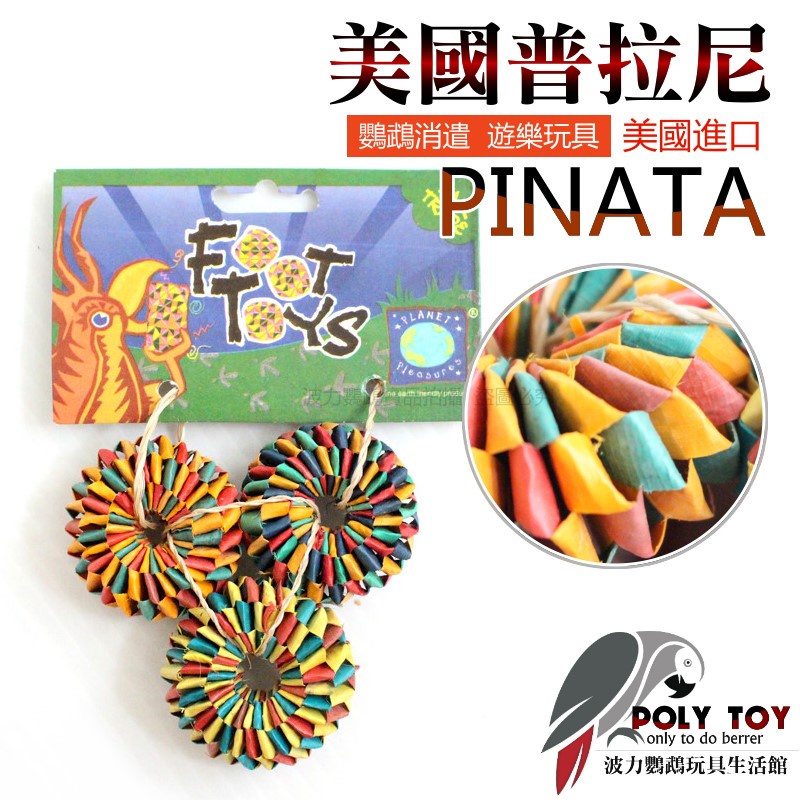 Mini Hot Wheels Foot Catch Toys Parrot Natural Primary Color Series ...