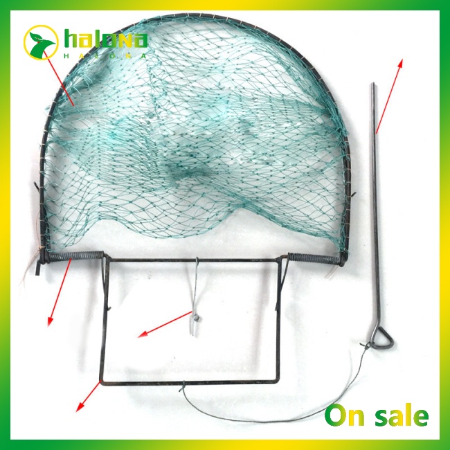 Hxla Foldable Bird Net Humane Live Trap Sparrow Pigeon Quail Hunting ...
