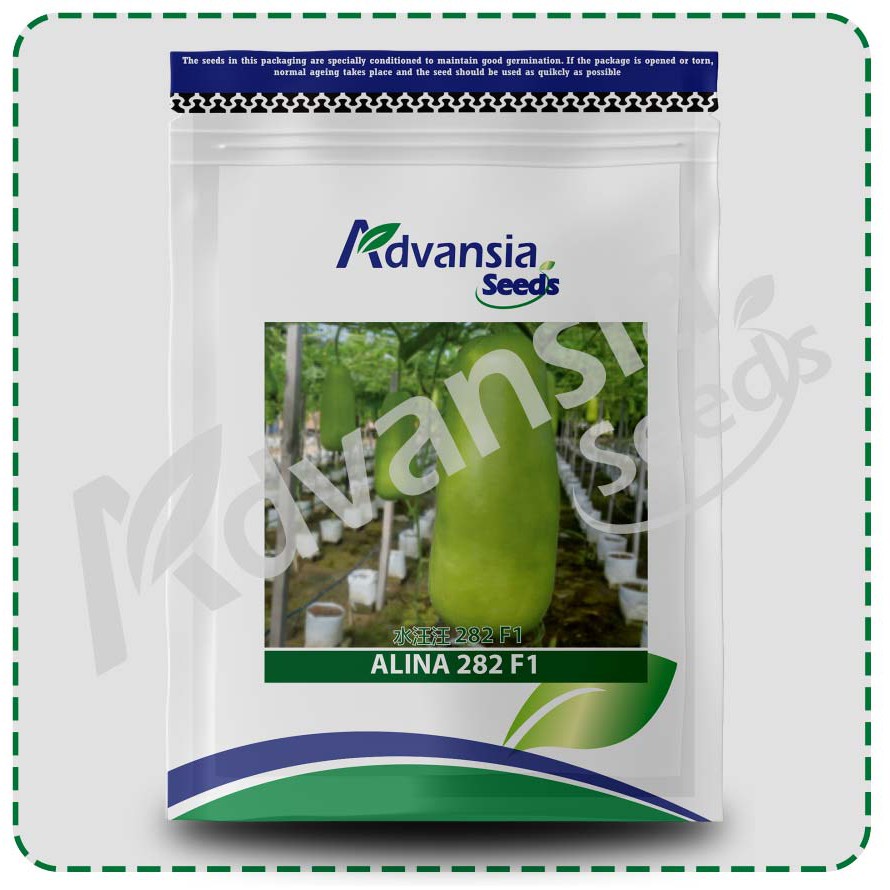 Alina 阿水 282 F1 PREMIUM LABU AIR SEEDS Bottle gourd seed 葫芦瓜种子 750-850 ...