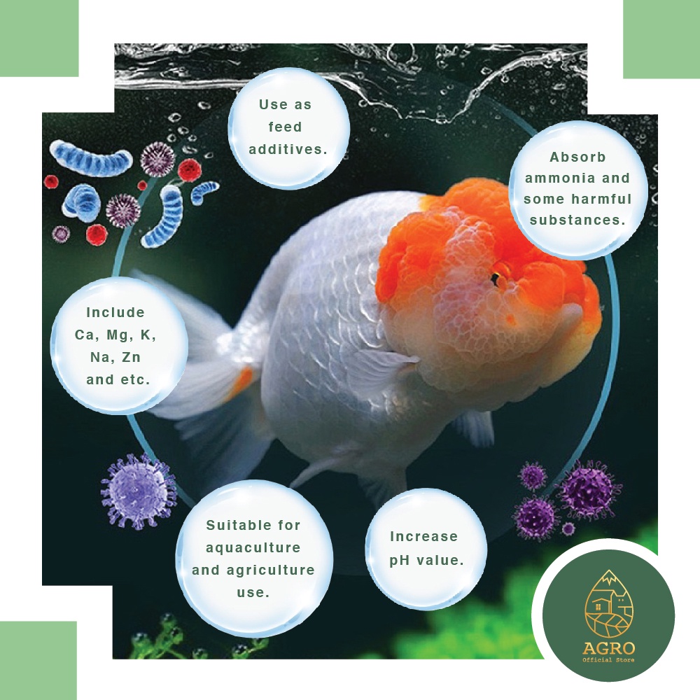 Agro Natural Green ZEOLITE POWDER Aquaculture & Agriculture Water ...