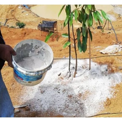 🔥Baja Dolomite GML/ Kapur Pertanian Bukan Jenis Tepung Jenis Serbuk ...