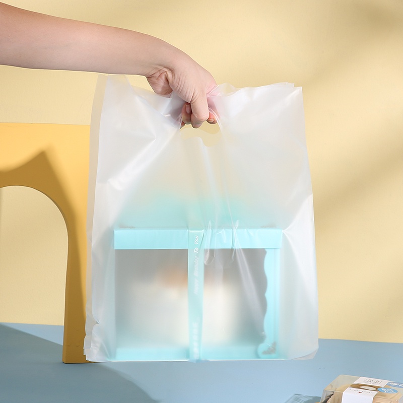 Cake Packing Bag Pizza box 4 inch 6 inch 8 inch 10 inch Matte Plastic ...