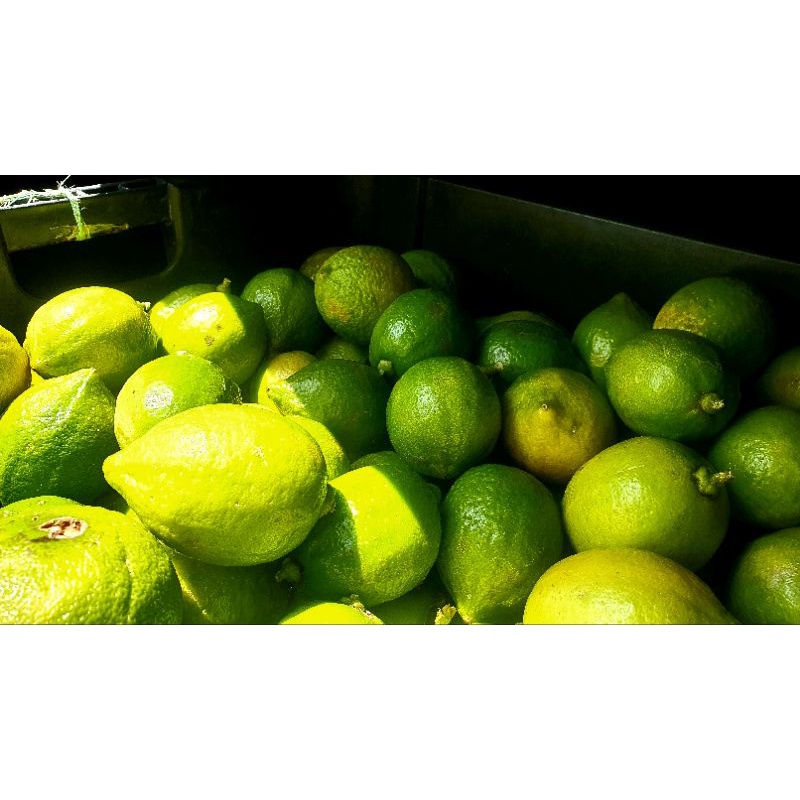 LEMON MUDA HIJAU MURAH!! 1KG RM6!! | Shopee Malaysia