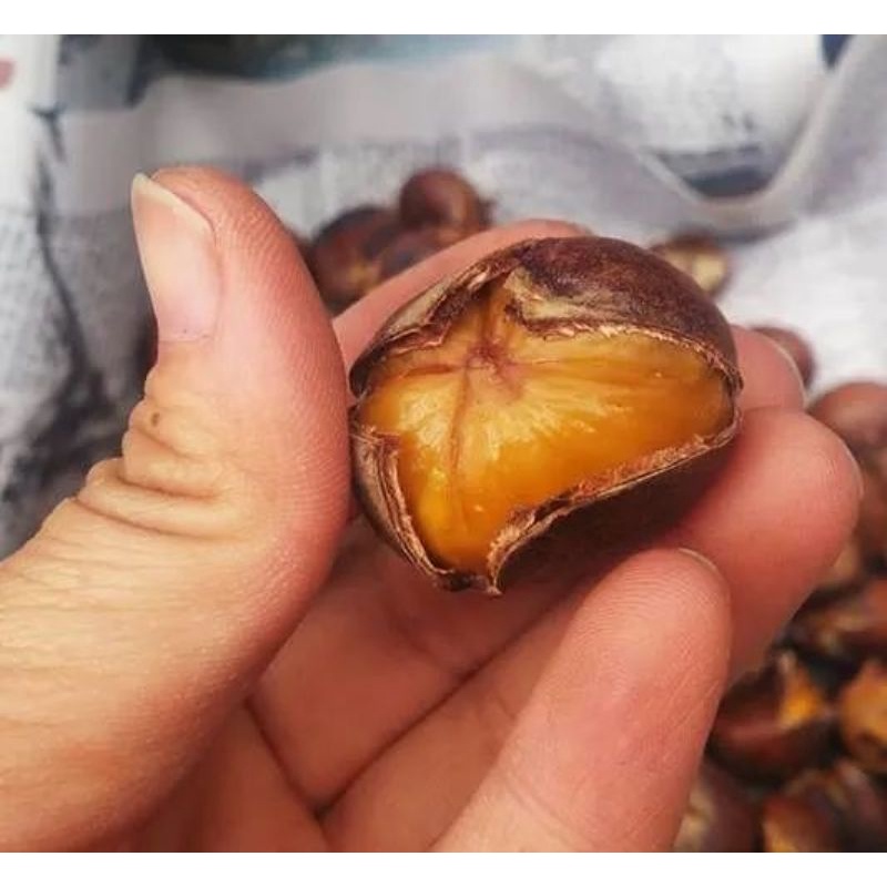 Beijing chestnuts [special type with thin skin and no seeds] Sticky ...