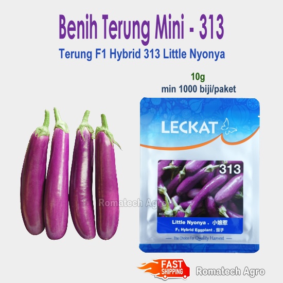 Benih Terung Mini F1 Hybrid 313 Little Nyonya | Shopee Malaysia