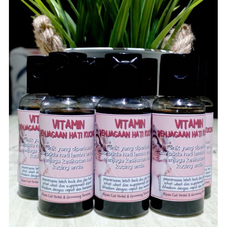 🔥 LIVOFEROL VITAMIN UTK GEMUKKAN KUCING DAN PENJAGAAN HATI 🔥30 Ml ...