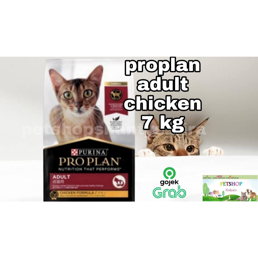 Proplan ADULT CHICKEN FORMULA 7kg Cat Food | Shopee Malaysia