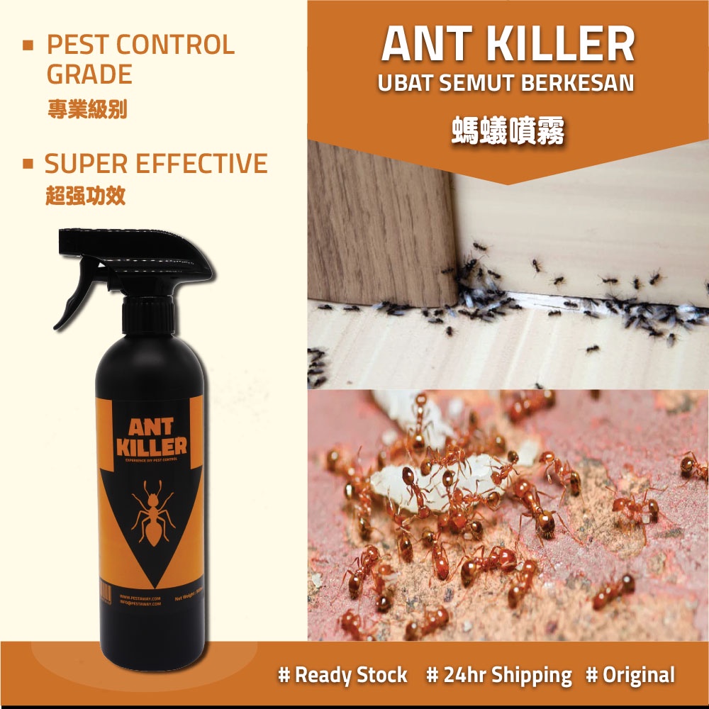 Penyembur Semut Beracun Ant Killer Spray 蚂蚁喷雾 | Shopee Malaysia