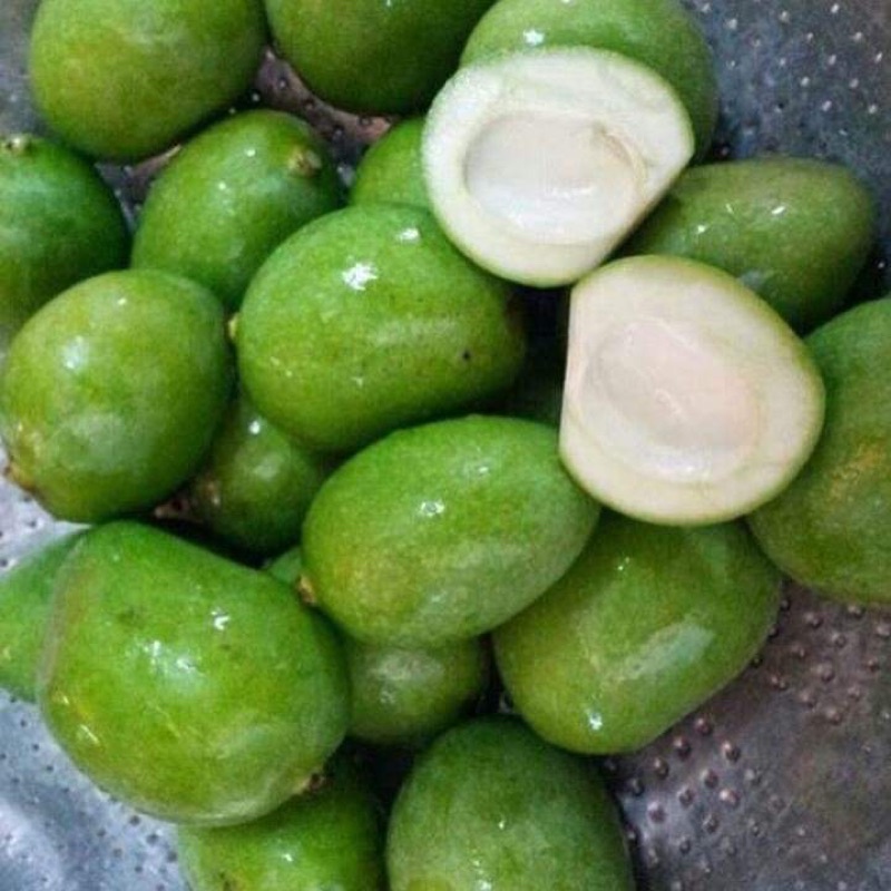 Pauh Ringan/Mangga Telor/ pelam muda / tua | Shopee Malaysia