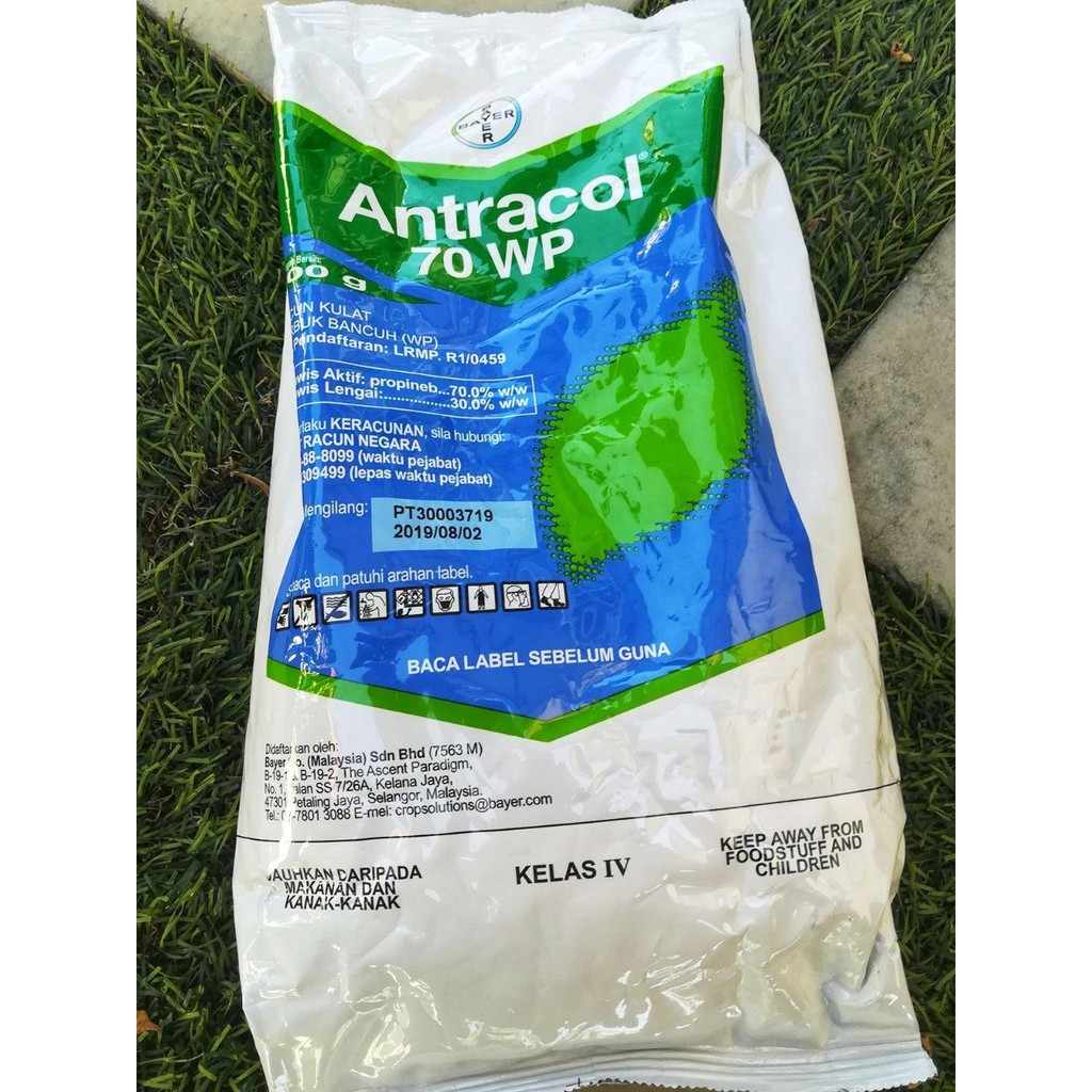 💥PROMO💥 Antracol 70WP Racun Kulat [Kelas IV] | Shopee Malaysia