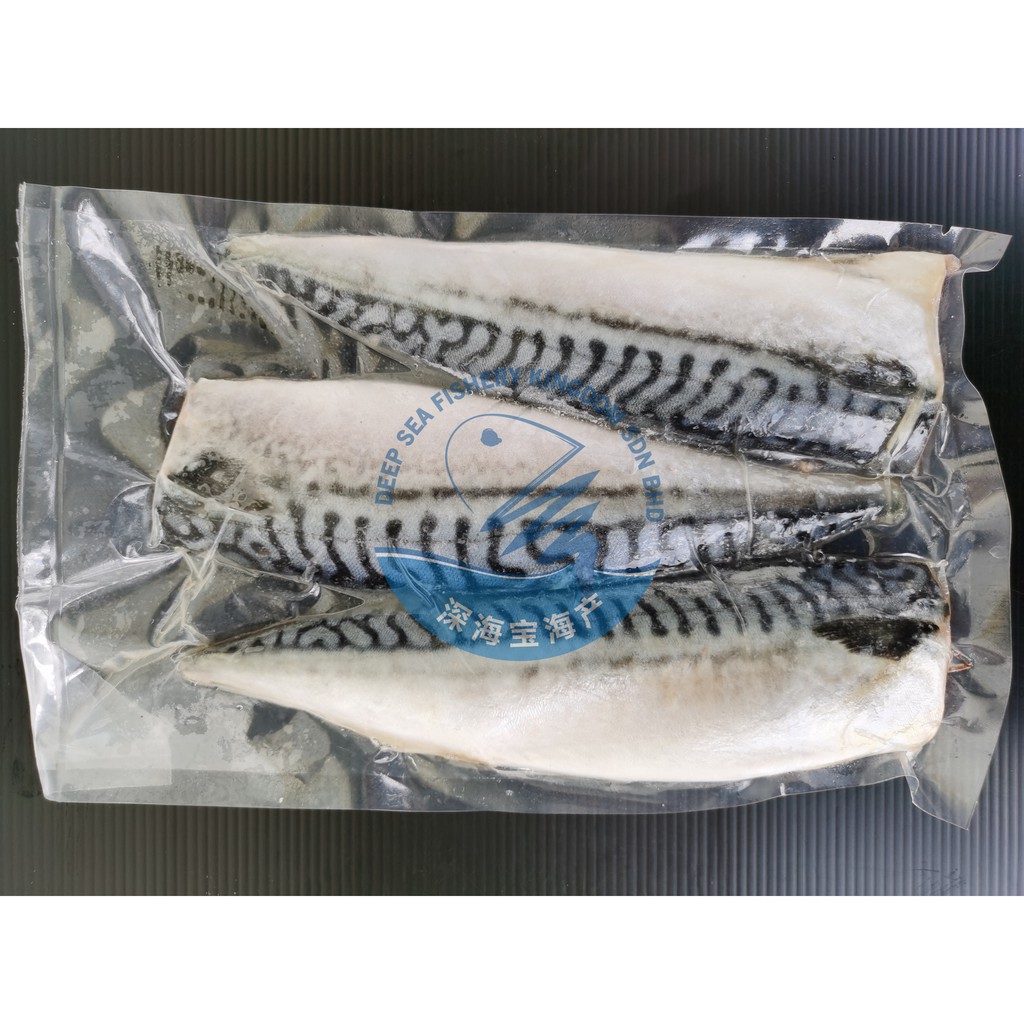 MACKEREL SABA FILLET (3 PCS) 鲭鱼片 | Shopee Malaysia