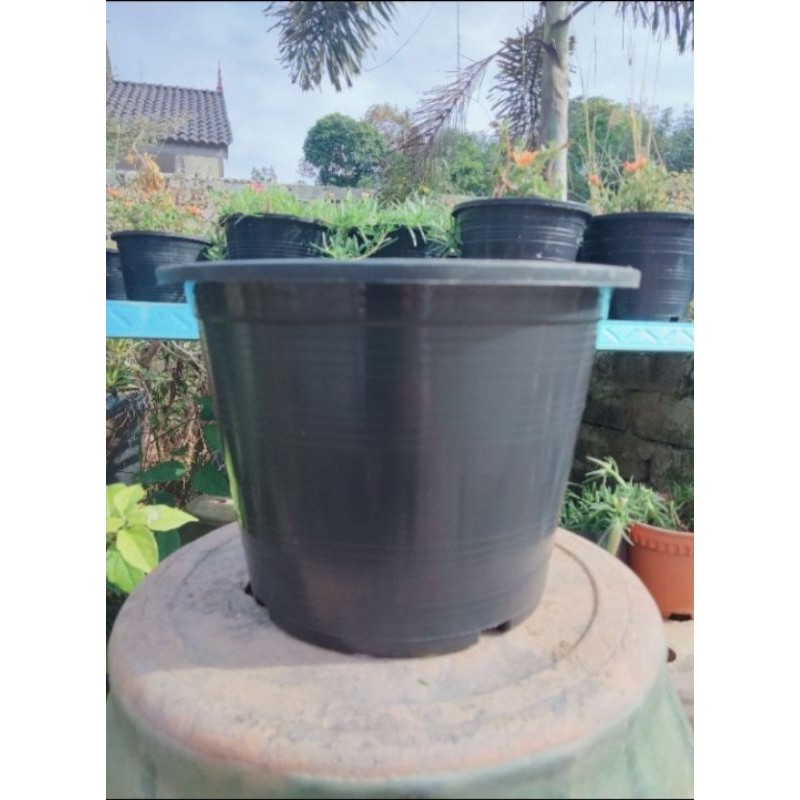 pasu hitam saiz 8 inci | Shopee Malaysia