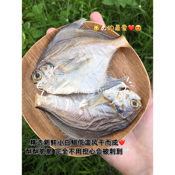 PET SNACK 猫零食大型犬狗零食Dried White Pomfret 幼白昌干 Pomfret 100% Natural ...