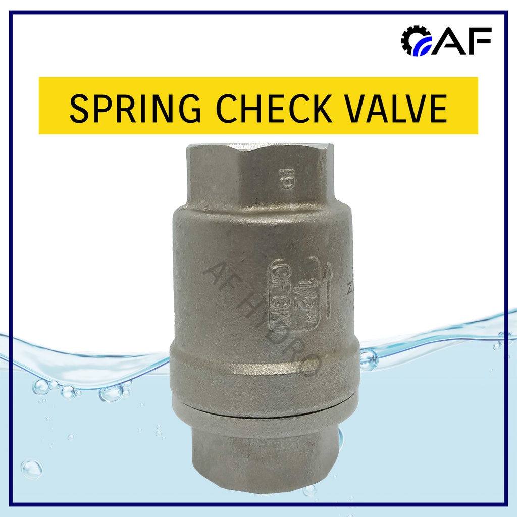Stainless Steel SS316 Spring Check Valve 1/4” to 2” Heavy Duty One Way ...