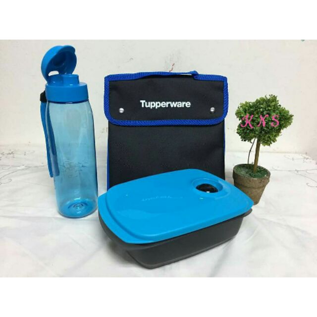 Tupperware Container set (blue) | Shopee Malaysia