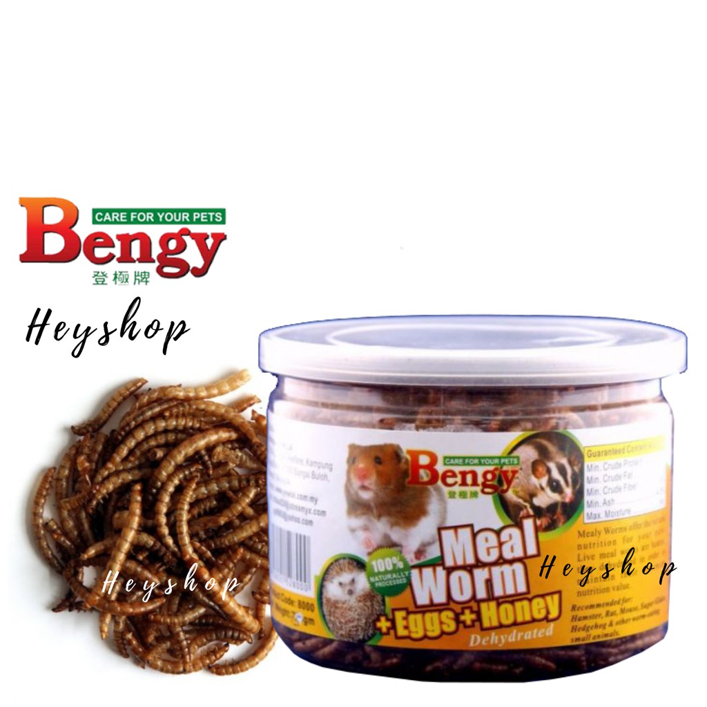 🔥HOT🔥 Bengy Meal Worm / Mealworm 75g ( Eggs Honey)Hamster Food Snack ...