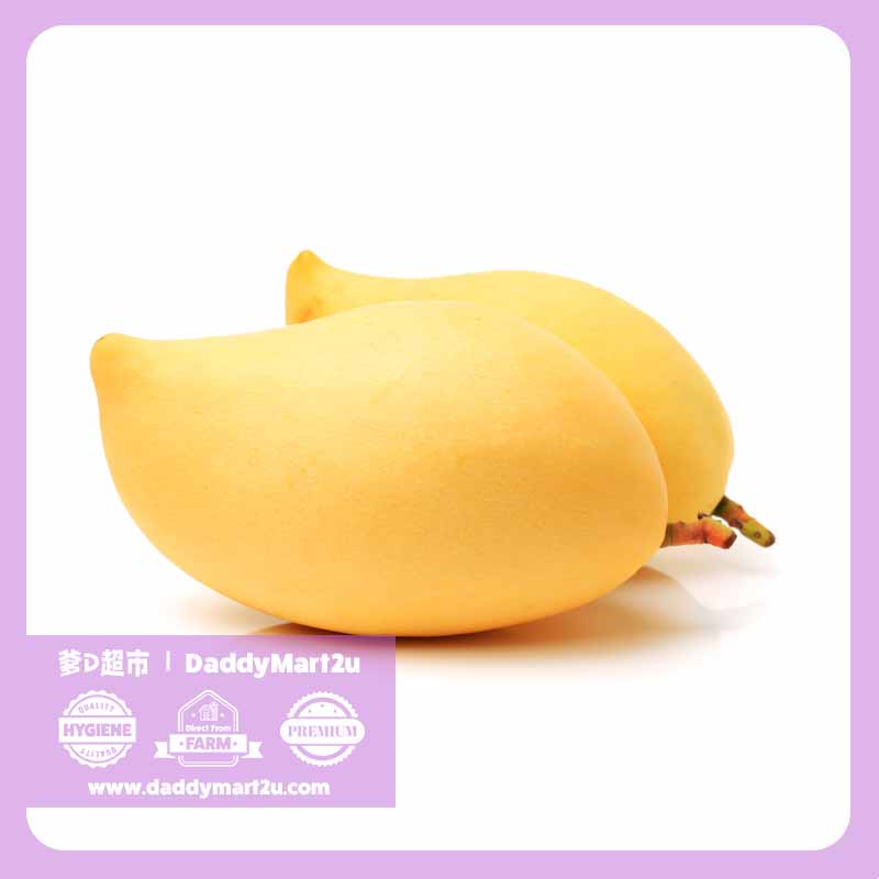 Mango （Rainbow/Gold Susu) | 芒果 | 1pcs | Shopee Malaysia