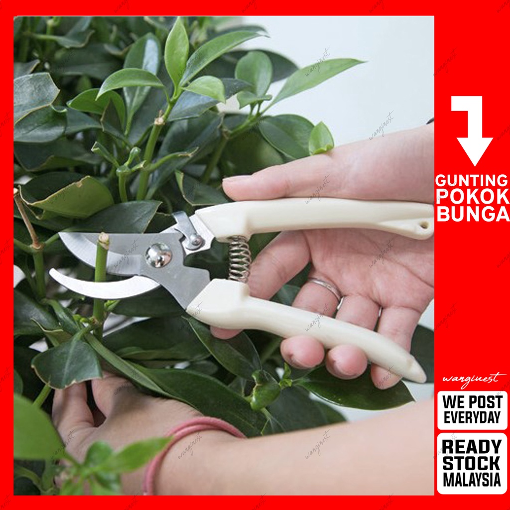 Gunting Pokok Bunga Gardening Cutter Pruning Shear Plant Scissors -1pcs ...
