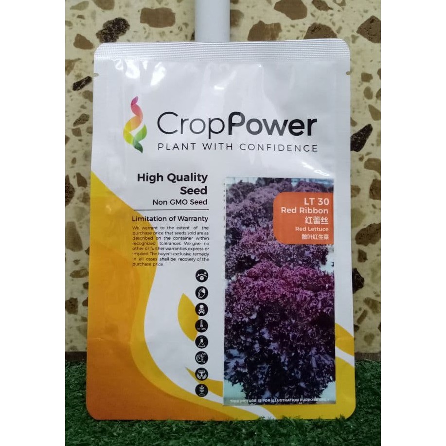 Benih Salad Merah /Lettuce RED RIBBON CROP POWER LT30 (Repack 0.5gm/400 ...