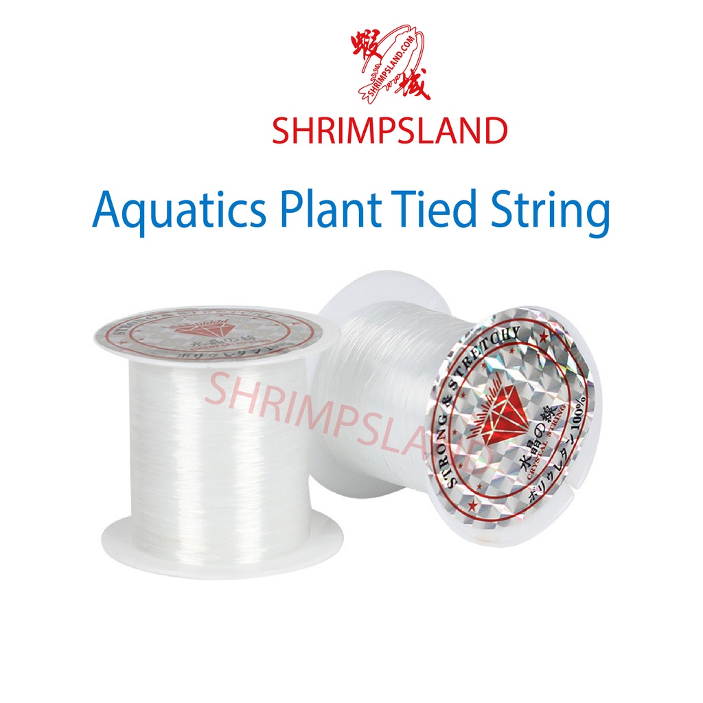 [SHRIMPSLAND] Aquatic Plant Tied String 100Meter | Shopee Malaysia