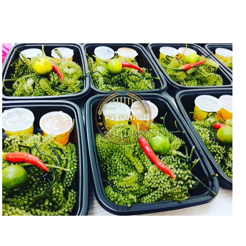 LATOK PREMIUM FRESH (60GRAM) BUY 3 FREE 1 | Shopee Malaysia