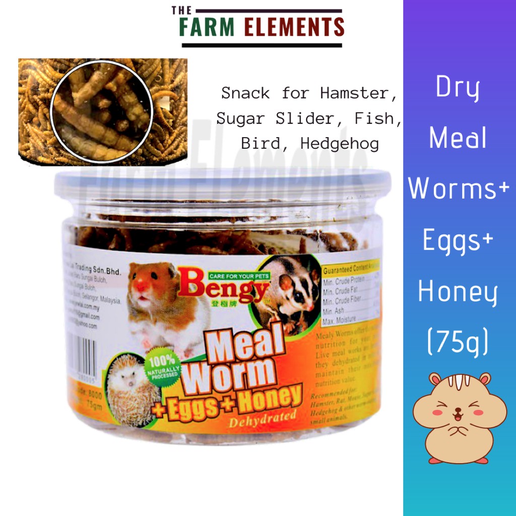Bengy Dehydrated Meal Worm+ Eggs+ Honey (75g) Mealworm Snack & Treat ...