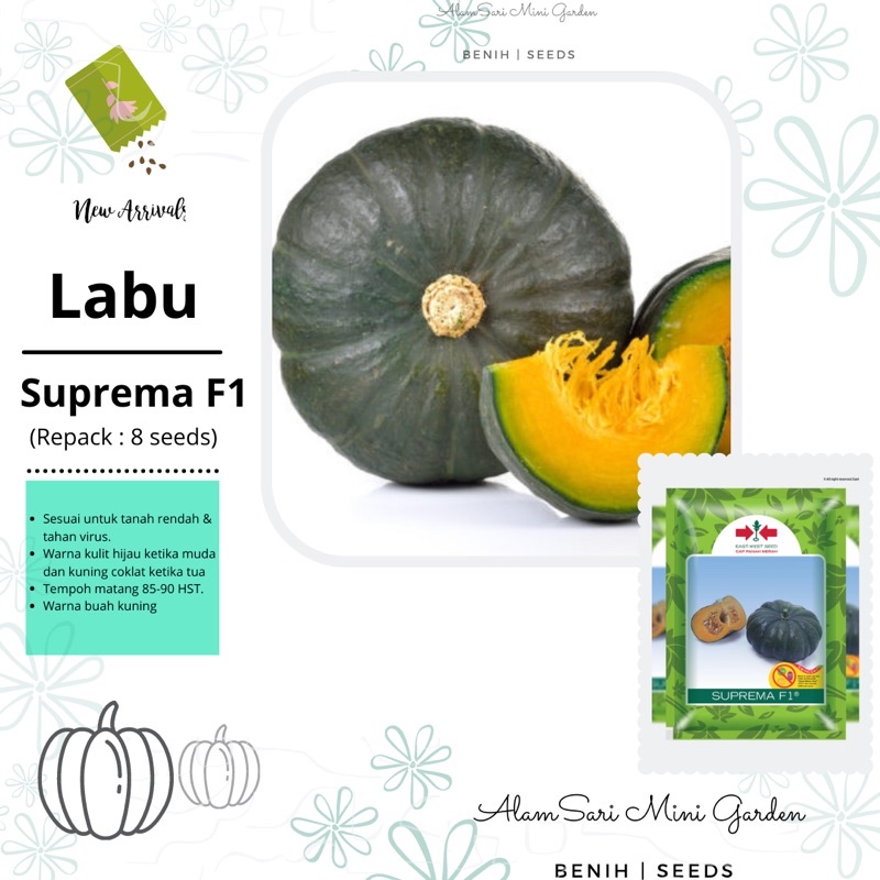 Biji Benih Seeds : Labu Suprema F1 (repack : 8 seeds) | Shopee Malaysia