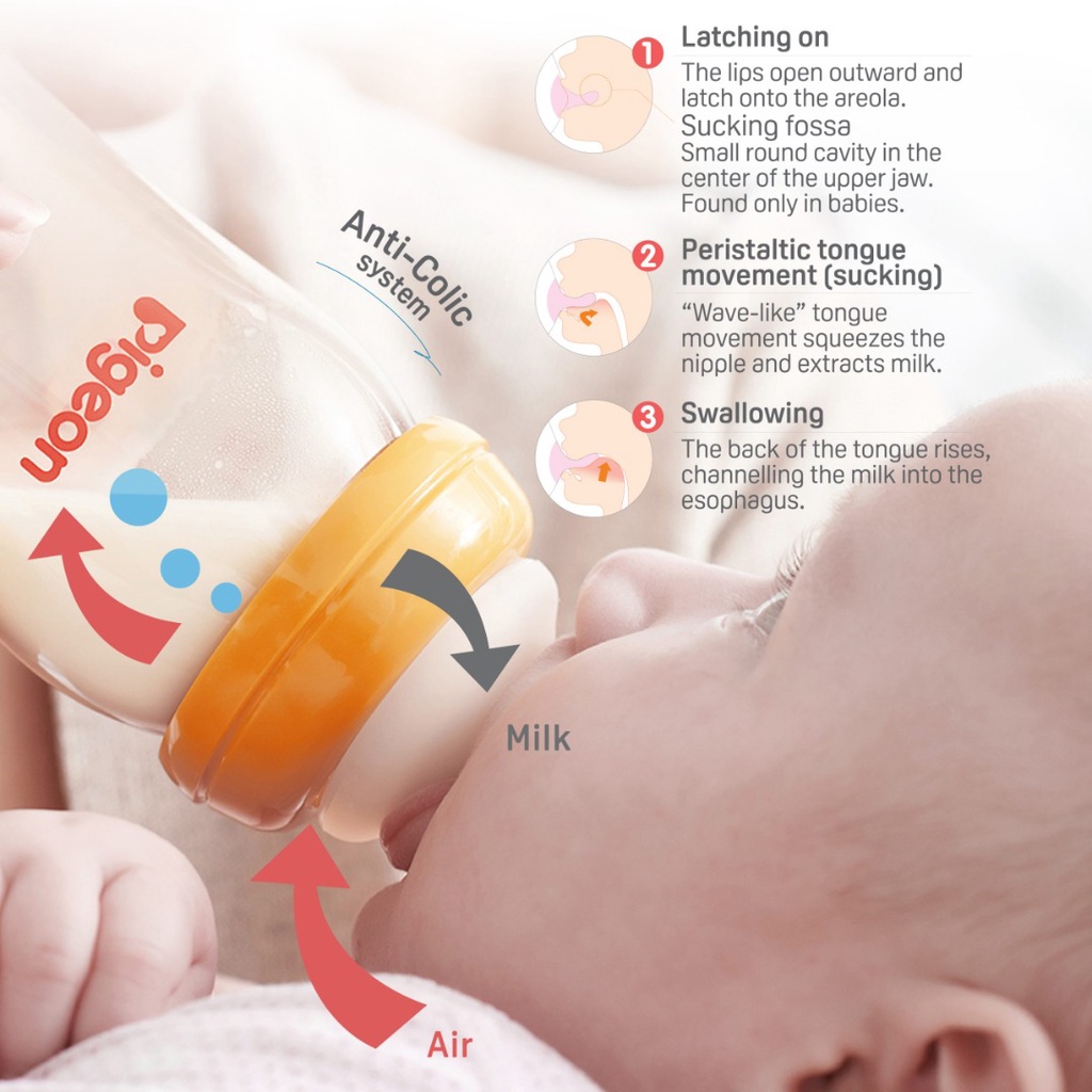 🇲🇾100% Original Pigeon SoftTouch™ Wide-Neck PPSU Nursing Bottle Authentic Pigeon Bottle Botol ...