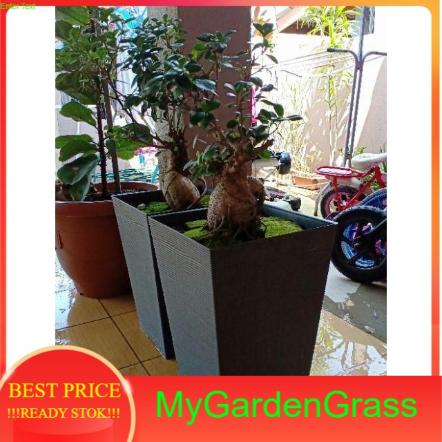 Pasu Bunga Viral/Vage Pots Indoor Plant | Shopee Malaysia