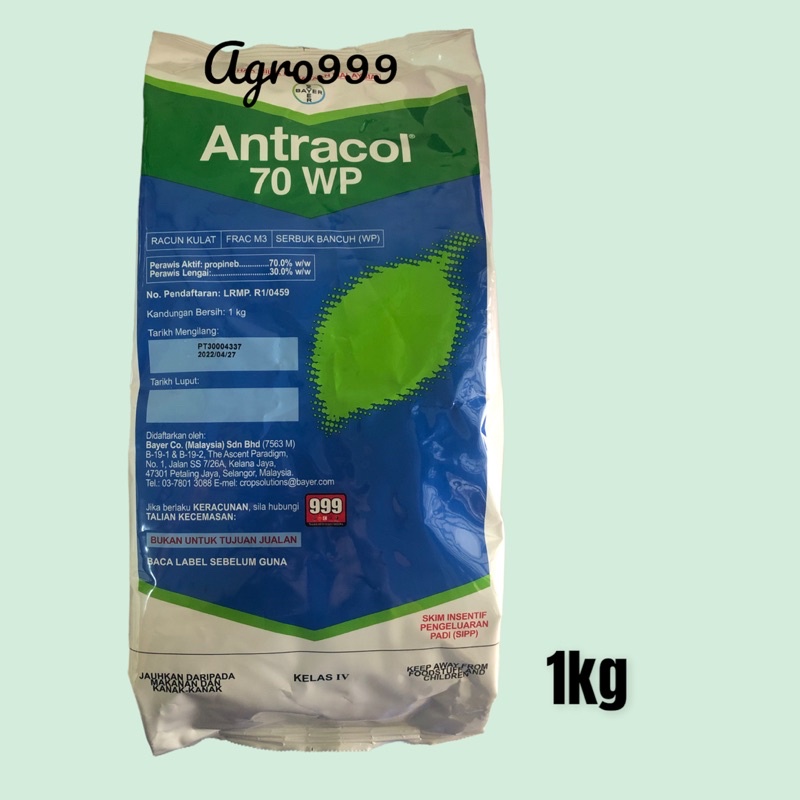 Antrocol 500g/1kg Racun kulat/subsidi | Shopee Malaysia