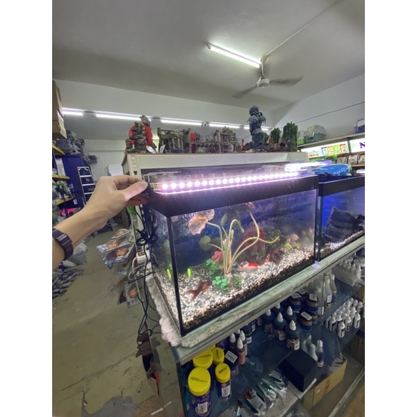 LifePower Submersible LED light - Signature (LP1000s) | Shopee Malaysia