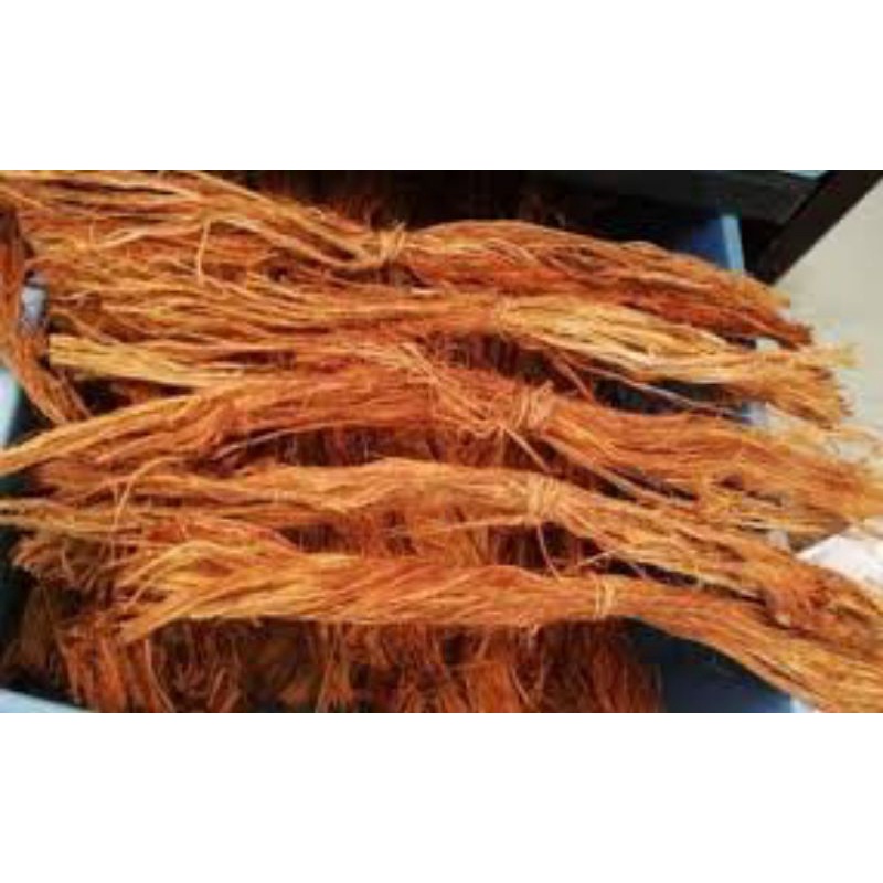 Akar Sintuk (India) 5 ikat | Shopee Malaysia