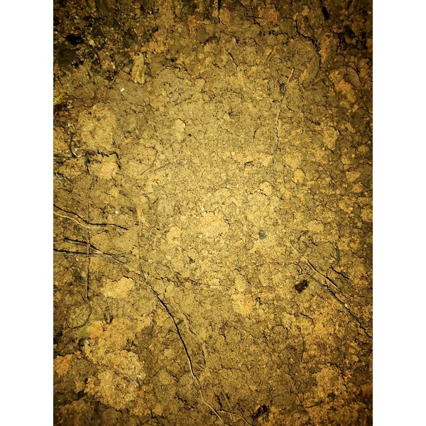 tanah top soil bukit cantik banyak zat sesuai untuk pelbagai tanaman ...