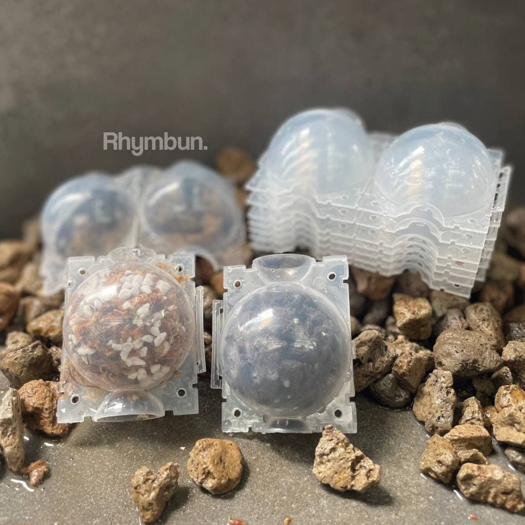 Plant Root Growing Ball, Air Layering Pods (REUSABLE) Plant Rooting ... Plant Root Growing Ball, Air Layering Pods (REUSABLE) Plant Rooting ...