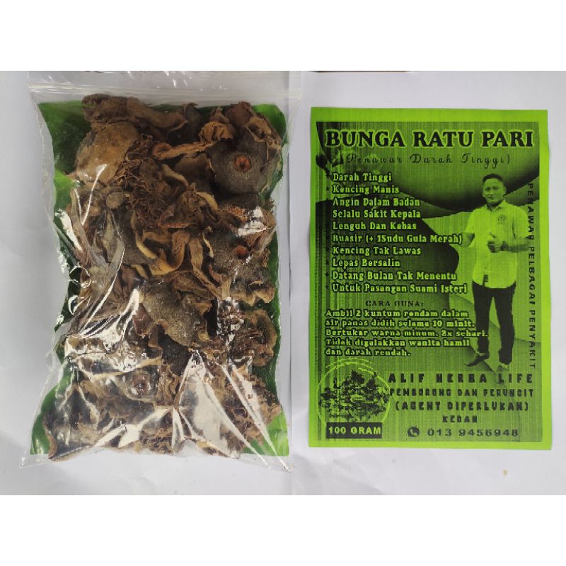 Bunga Ratu Pari(Pos Segera Sampai Cepat)100% original | Shopee Malaysia