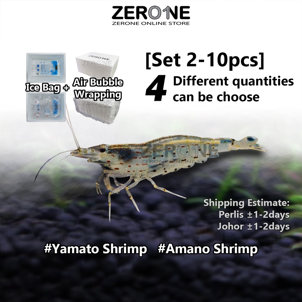ZERONE 2-10pcs Yamato Shrimp / Amano Shrimp / Algae Shrimp / 大和藻虾 / 珍珠虾 / Algae Eater / Tank ...
