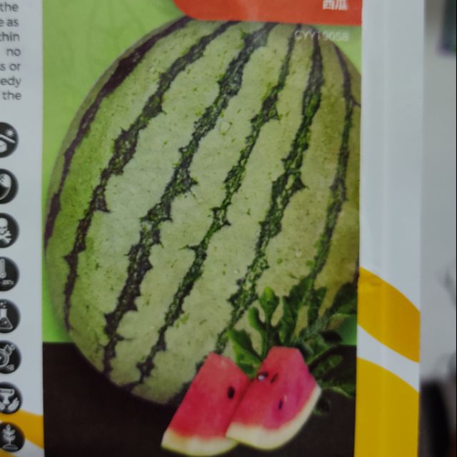 Seed Fruit Benih Buah Tembikai Merah Red Watermelon Seeds 12pcs ...