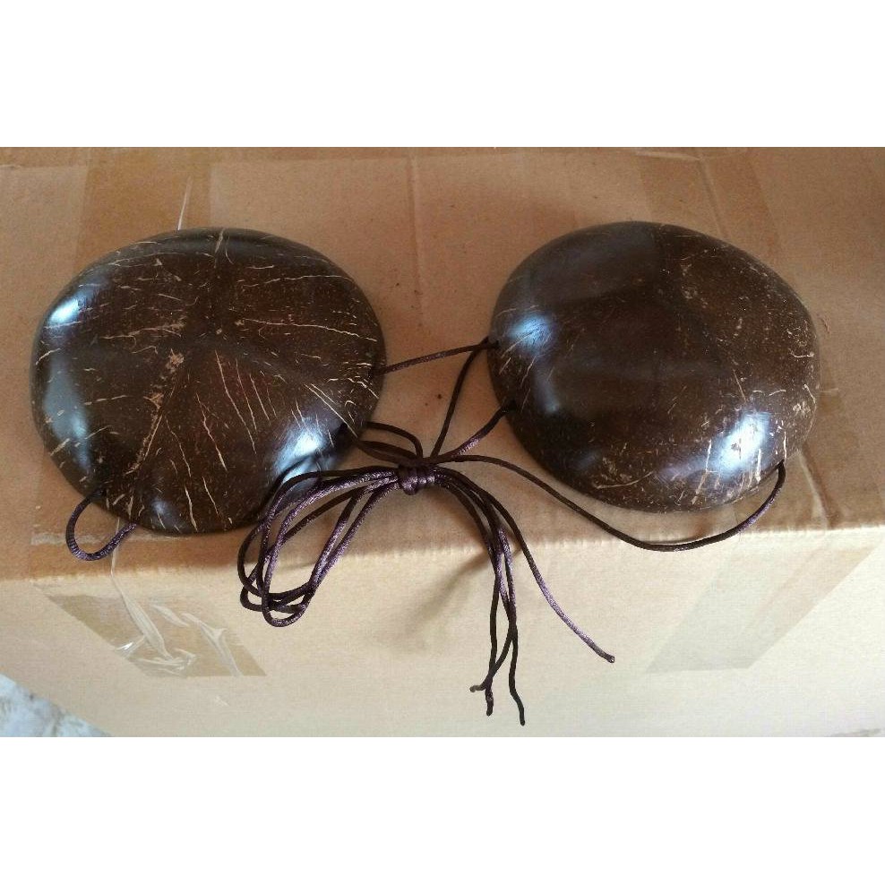 Coconut Bra For Dancing Use Hawaii Coconut Bra Hawaii Theme Costume ...