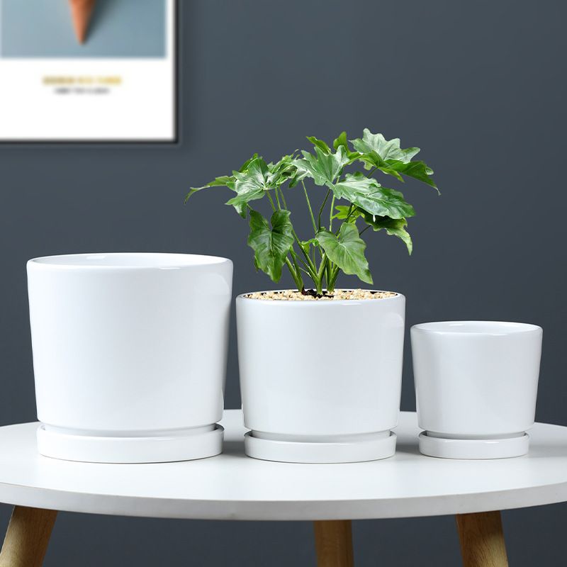 Ceramic Shine Pot Attached With Saucer 🇲🇾 White Flower Vase / Pasu ...